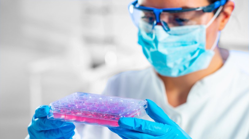 Octet® devices for the analysis of proteins and biomolecules ...