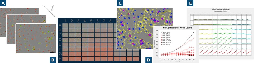 Incucyte® S3 Live Cell Analysis Device - Sartorius Croatia
