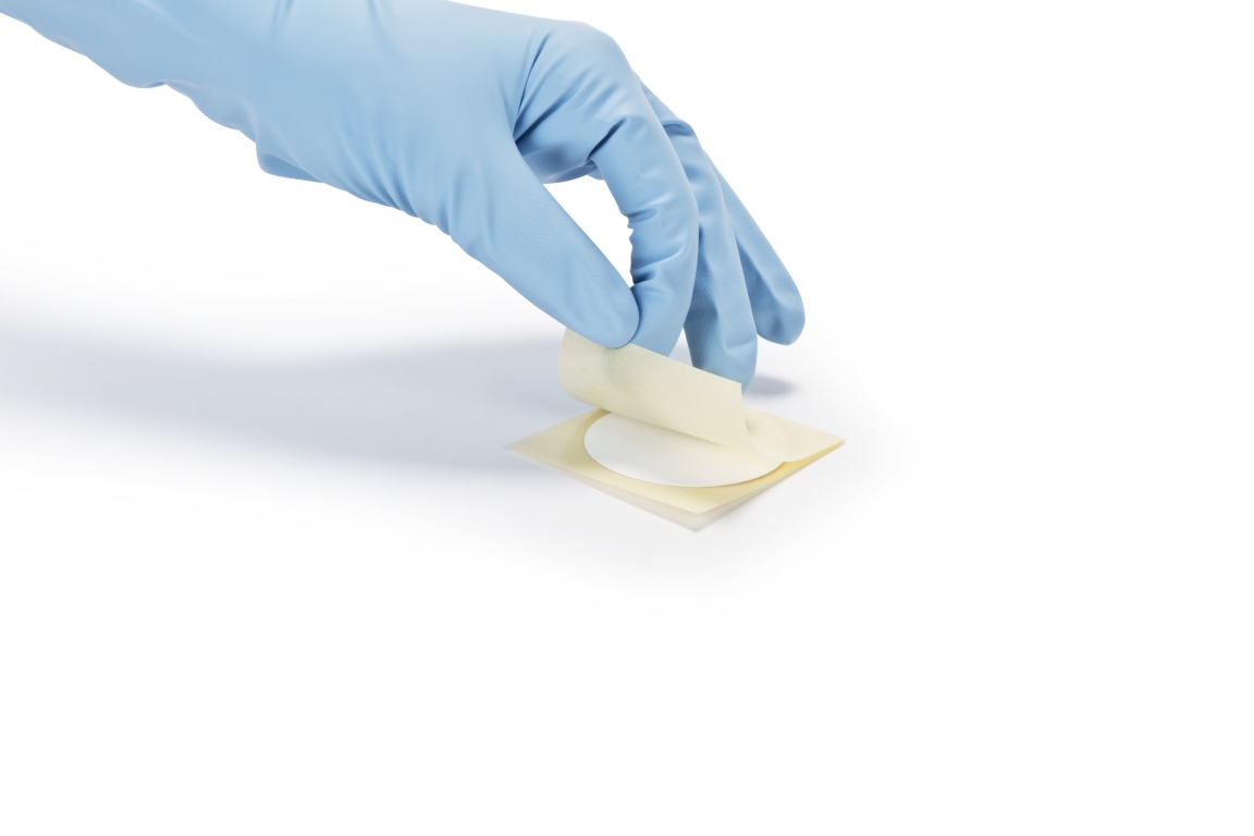 Gelatin Membrane Filters for quantification and differentiation of ...